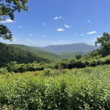 White Rock Falls Loop, Virginia - 1,003 Reviews, Map | AllTrails