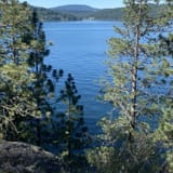Tubbs Hill, Idaho - 4,267 Reviews, Map | AllTrails