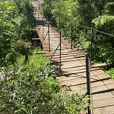 Tubbs Hill, Idaho - 4,267 Reviews, Map | AllTrails