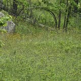 Coon Hollow Loop, South Dakota - 1,341 Reviews, Map | AllTrails