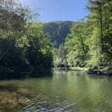 Laurel River Trail, North Carolina - 1,627 Reviews, Map | AllTrails