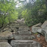Thousand Steps, Pennsylvania - 1,286 Reviews, Map | AllTrails
