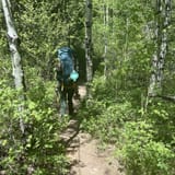 North Fork Big Thompson River Trail Via Dunraven Trailhead, Colorado ...