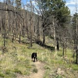 North Fork Big Thompson River Trail Via Dunraven Trailhead, Colorado ...