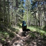 North Fork Big Thompson River Trail Via Dunraven Trailhead, Colorado ...
