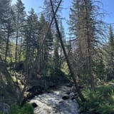 North Fork Big Thompson River Trail Via Dunraven Trailhead, Colorado ...