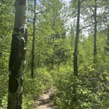 North Fork Big Thompson River Trail Via Dunraven Trailhead, Colorado ...