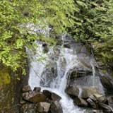 Ira Spring Memorial Trail, Washington - 2,208 Reviews, Map | AllTrails