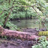 Chee Dale Gorge Circular, Derbyshire, England - 1,550 Reviews, Map ...