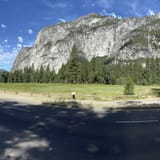 Sentinel Meadow Cook's Meadow Loop Trail, California - 3,625 Reviews ...