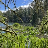Killarney Lake Loop , British Columbia, Canada - 408 Reviews, Map ...