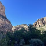 Jones Hole Trail, Utah - 276 Reviews, Map | AllTrails