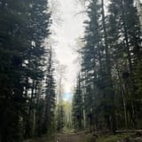 Eagle Loop, Idaho - 112 Reviews, Map | AllTrails