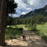Shanahan Ridge Trail, Colorado - 3,401 Reviews, Map | AllTrails