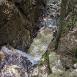 Devil's Racetrack Trail, Tennessee - 599 Reviews, Map | AllTrails
