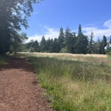 Pre's Trail, Oregon - 868 Reviews, Map | AllTrails