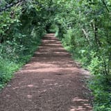 Pre's Trail, Oregon - 868 Reviews, Map | AllTrails