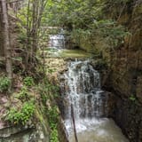 Devil's Racetrack Trail, Tennessee - 599 Reviews, Map | AllTrails