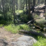 Viola Falls, California - 371 Reviews, Map | AllTrails