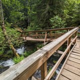Watson Falls, Oregon - 1,201 Reviews, Map | AllTrails