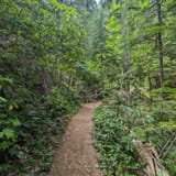 Watson Falls, Oregon - 1,142 Reviews, Map | AllTrails