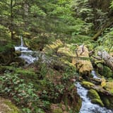 Watson Falls, Oregon - 1,142 Reviews, Map | AllTrails