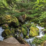 Watson Falls, Oregon - 1,201 Reviews, Map | AllTrails