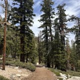 Angora Lakes Trail, California - 597 Reviews, Map | AllTrails