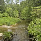 Heber Down Conservation Area Trail, Ontario, Canada - 633 Reviews, Map ...
