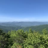 Graybeard Trail [CLOSED], North Carolina - 1,833 Reviews, Map | AllTrails