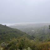 Cold Spring Loop, California - 2,324 Reviews, Map | AllTrails