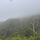 Cold Spring Loop, California - 2,324 Reviews, Map | AllTrails