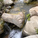 Cold Spring Loop, California - 2,324 Reviews, Map | AllTrails