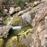 Cold Spring Loop, California - 2,324 Reviews, Map | AllTrails