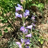 National Center for Atmospheric Research (NCAR) Ramble Trail, Colorado ...