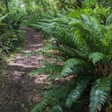 Weatherwax Trail, Washington - 294 Reviews, Map | AllTrails