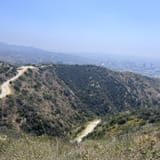 Runyon Canyon Trail, California - 8,328 Reviews, Map | AllTrails