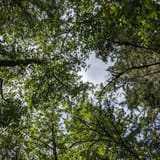 Weatherwax Trail, Washington - 294 Reviews, Map | AllTrails