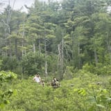 Whirlpool Trail, Ontario, Canada - 670 Reviews, Map | AllTrails