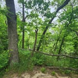 Harvey County East Park and Osage Nature Trail Loop, Kansas - 117 ...