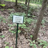 Saunders Springs Nature Preserve Loop, Kentucky - 400 Reviews, Map ...