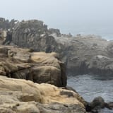 Salt Point Trail to Stump Beach, California - 755 Reviews, Map | AllTrails