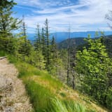 Cable Line Trail to West Tiger #3, Washington - 2,284 Reviews, Map ...
