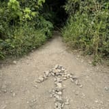 Coast Trail to Bass Lake, California - 4,756 Reviews, Map | AllTrails