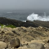 Salt Point Trail to Stump Beach, California - 755 Reviews, Map | AllTrails