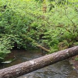 Mima Falls East Trail, Washington - 1,935 Reviews, Map | AllTrails