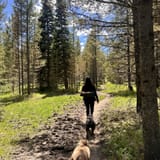 Whits Lakes Spring, Montana - 142 Reviews, Map | AllTrails