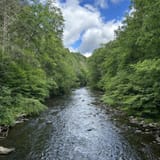 Bee Brook Loop, Connecticut - 1,050 Reviews, Map | AllTrails