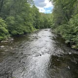 Bee Brook Loop, Connecticut - 1,050 Reviews, Map | AllTrails