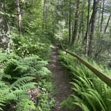 Bee Brook Loop, Connecticut - 1,050 Reviews, Map | AllTrails